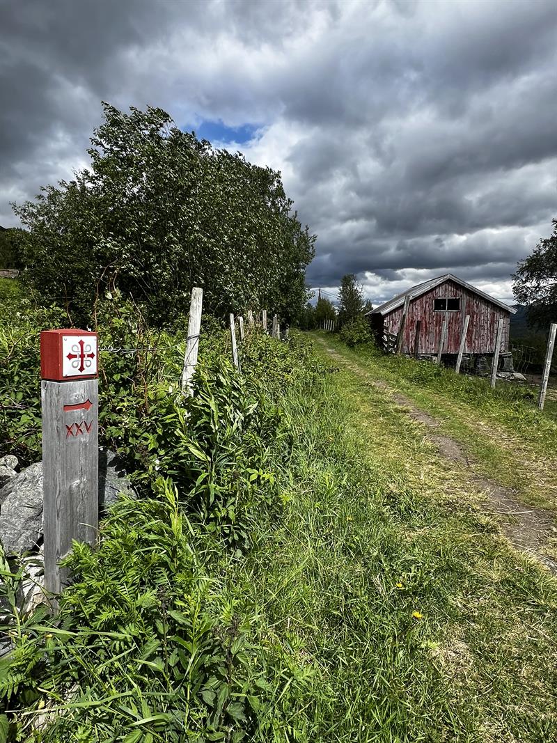 The pilgrim path in Oppdal - Explore Trøndelag