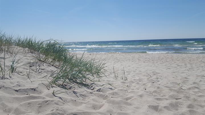 Tofta Strand - Gotland