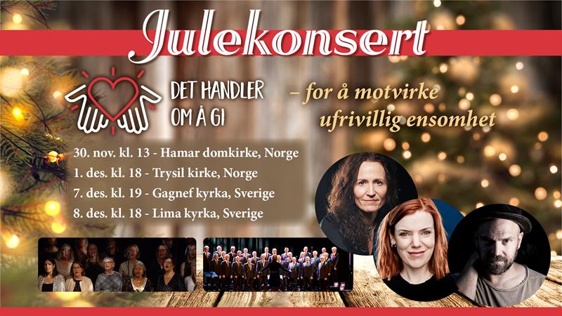 Julekonsert i Hamar domkirke - Stange kommune