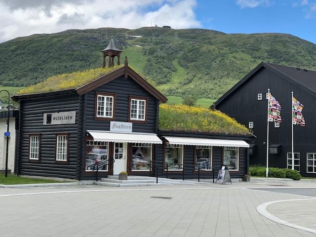 Husfliden - Visit Oppdal