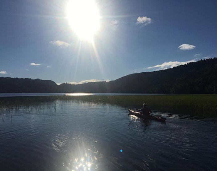 Landsem Farm - Visit Innherred