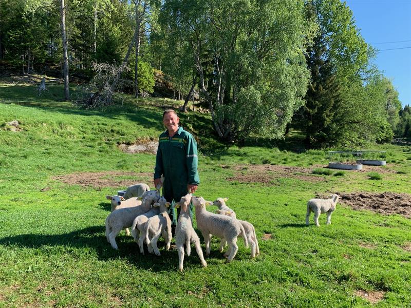 Landsem Farm - Explore Trøndelag