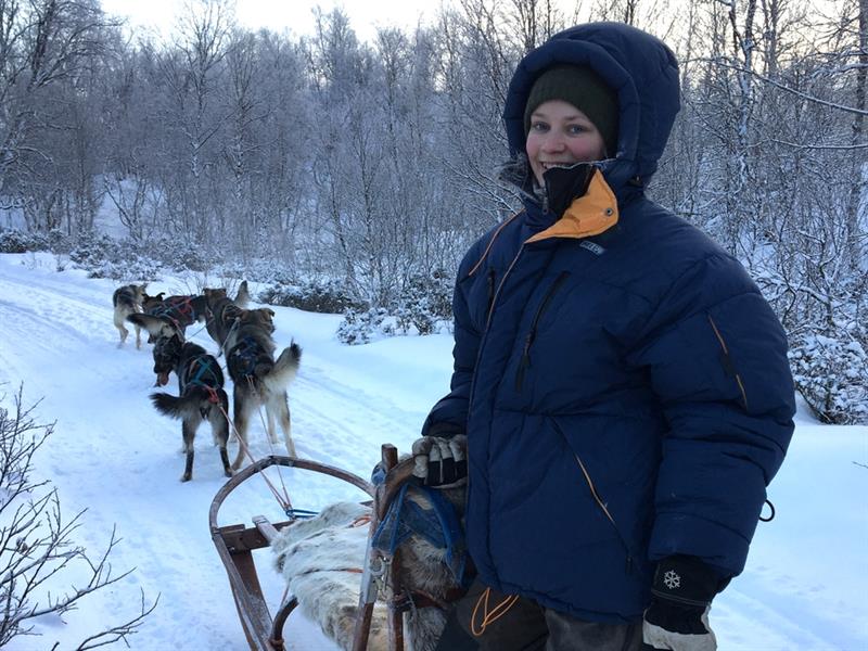 Kjenn på adrenalinet med hundesledekjøring hos Husky Point Røros ...