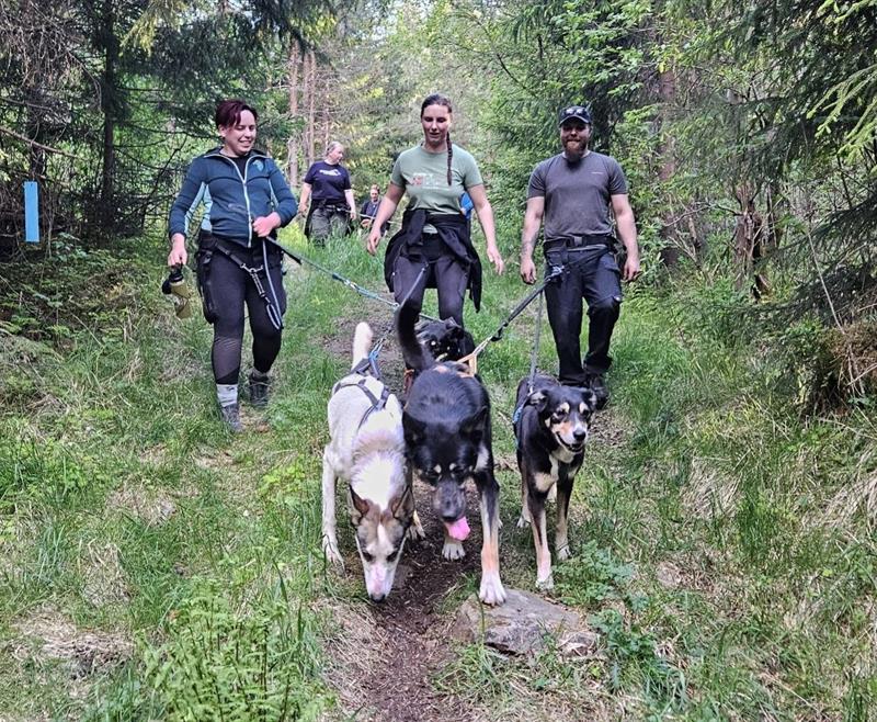 Tur med hund 7 - Rabben - Hamar kommune