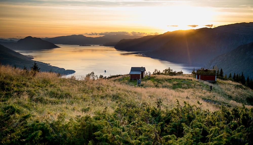 Hardanger | Oksen