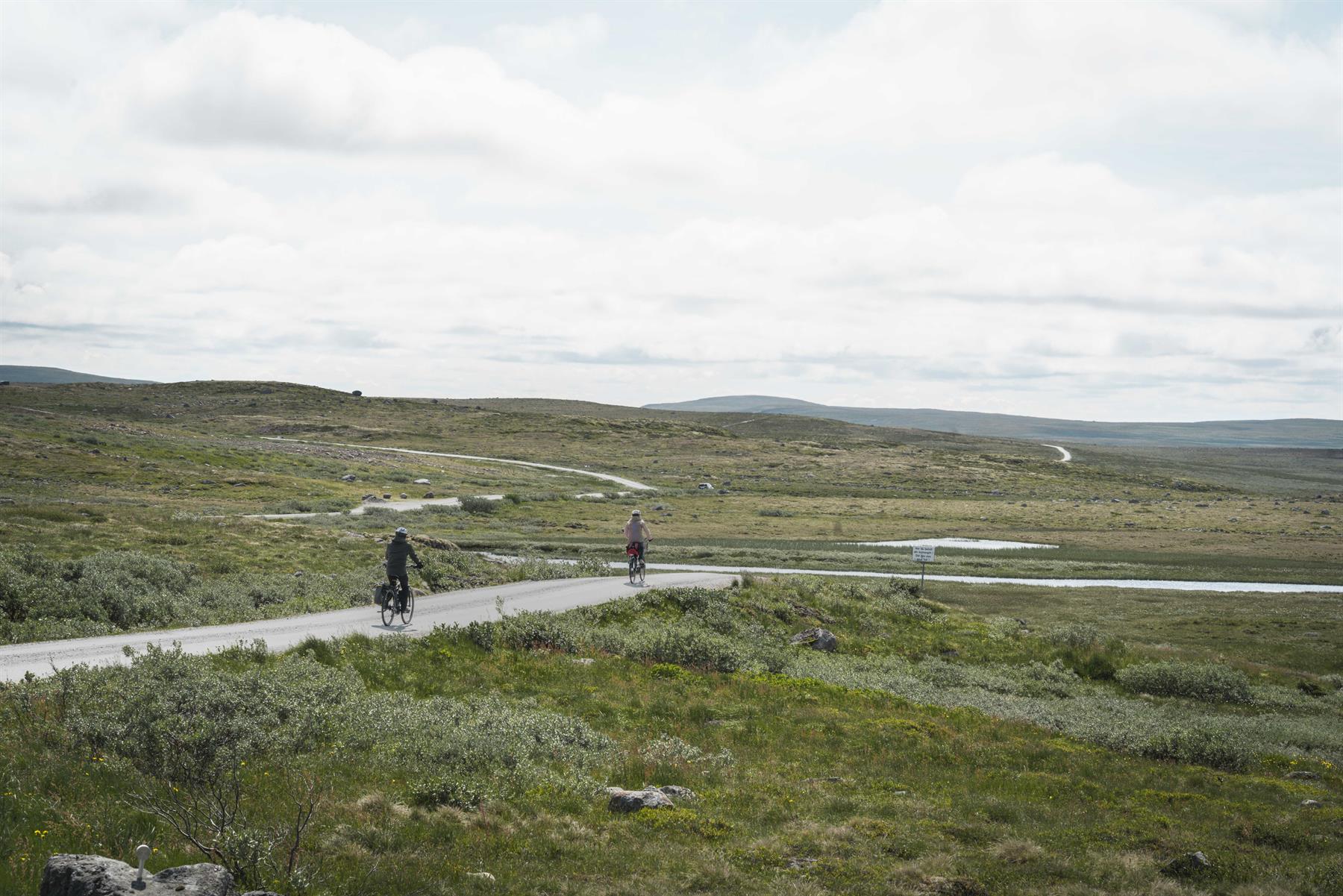 Hardanger | Dyranut Fjellstova