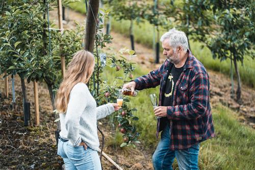 Hardanger | Fruit and Cider route, Ulvik