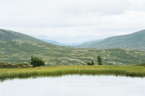 Hardanger | Hardangervidda nasjonalpark