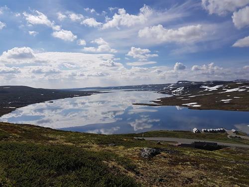 Hardanger | Halne Fjellstugu