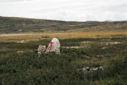 Hardanger | Dyranut - Hedlo – Sandhaug – Dyranut