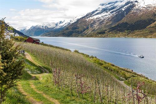Hardanger | Norwegian Scenic Route Hardanger