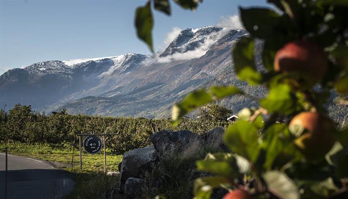 Hardanger | Cider from Hardanger