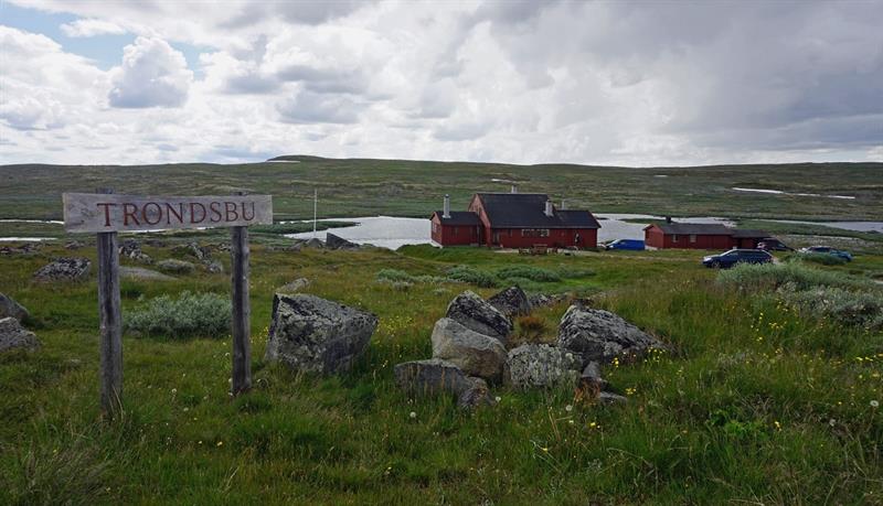 Hardanger | Hardangervidda National Park