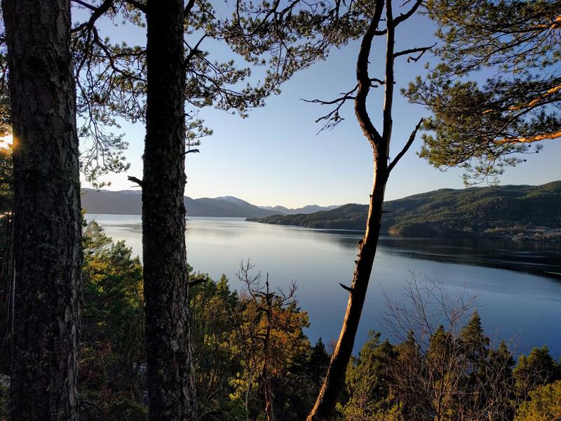 Hardanger | Husnes Sentrum Hotell