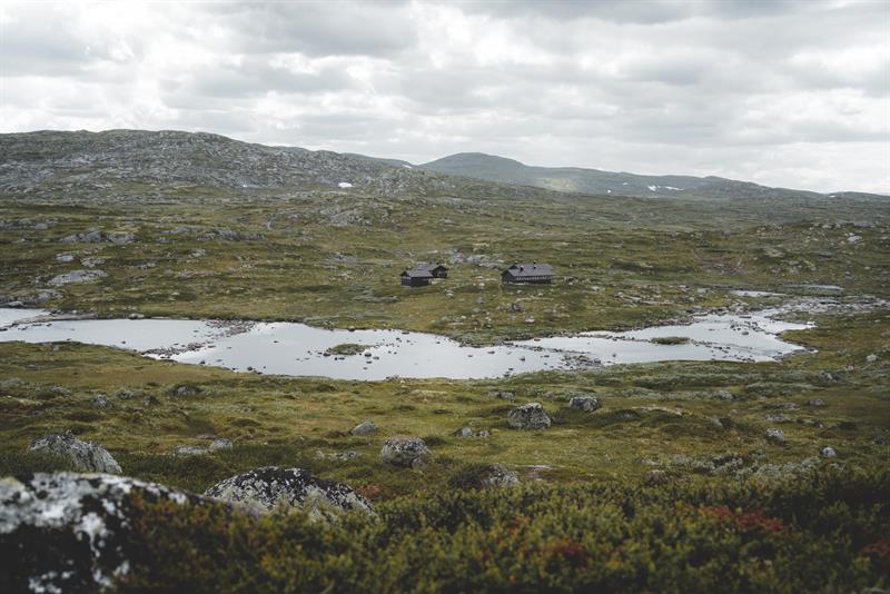 Hardanger | Fotturar på Hardangervidda og i Eidfjord