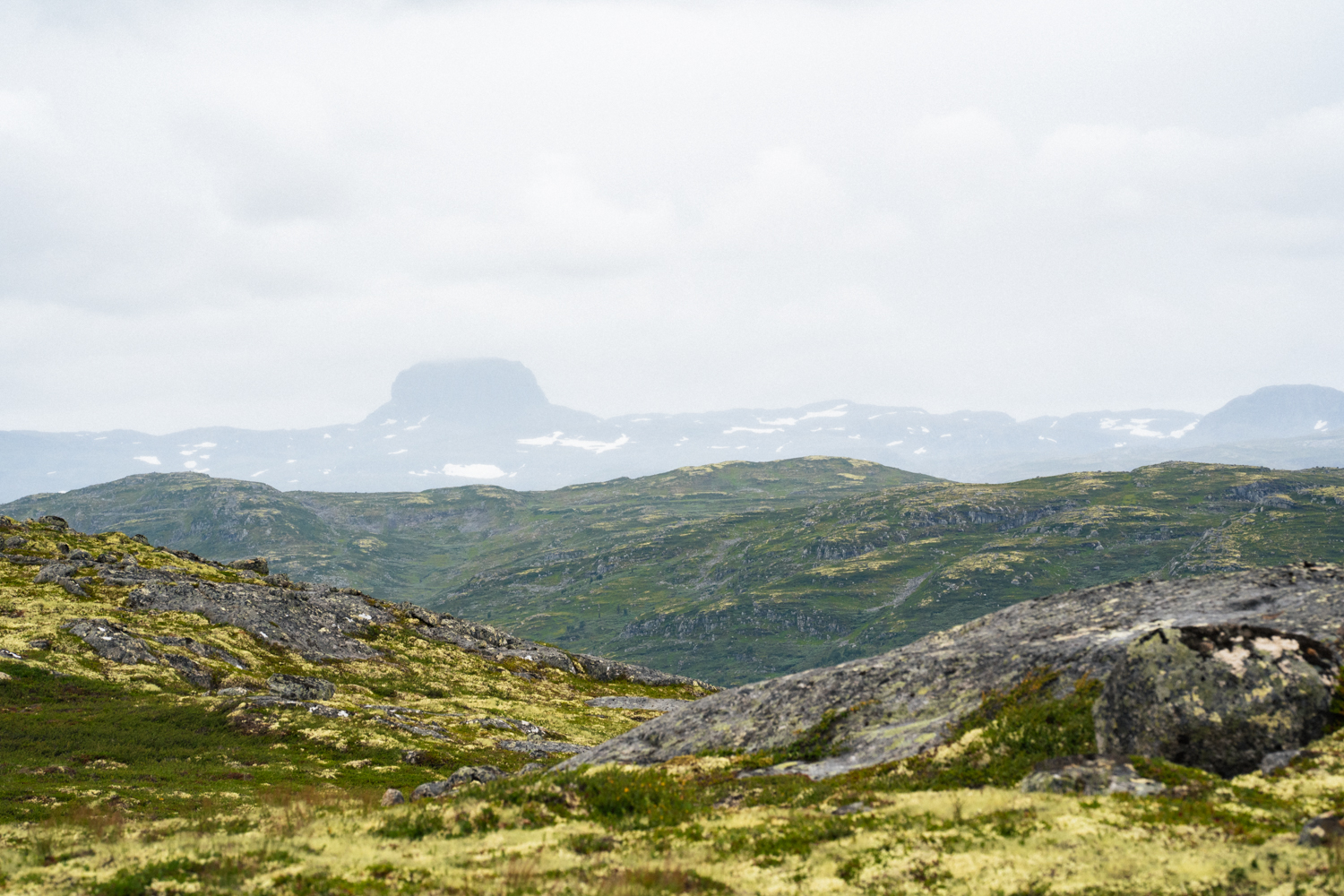 Hardanger | Hardangervidda National Park